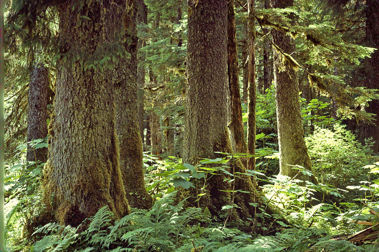 Featured Work from Wild Confluence Media + Audubon Alaska – Journal